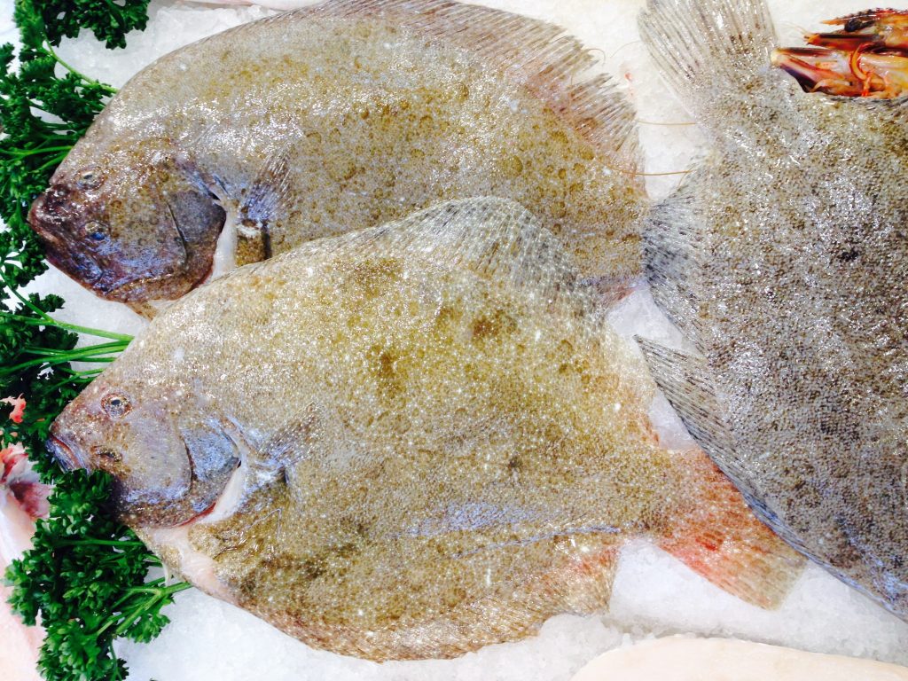 Fresh Brill & Turbot - Ocean Wave Fisheries