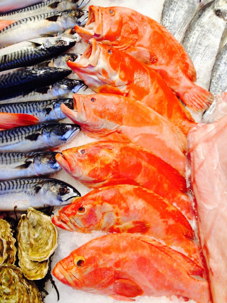 Fresh Red Grouper - Ocean Wave Fisheries