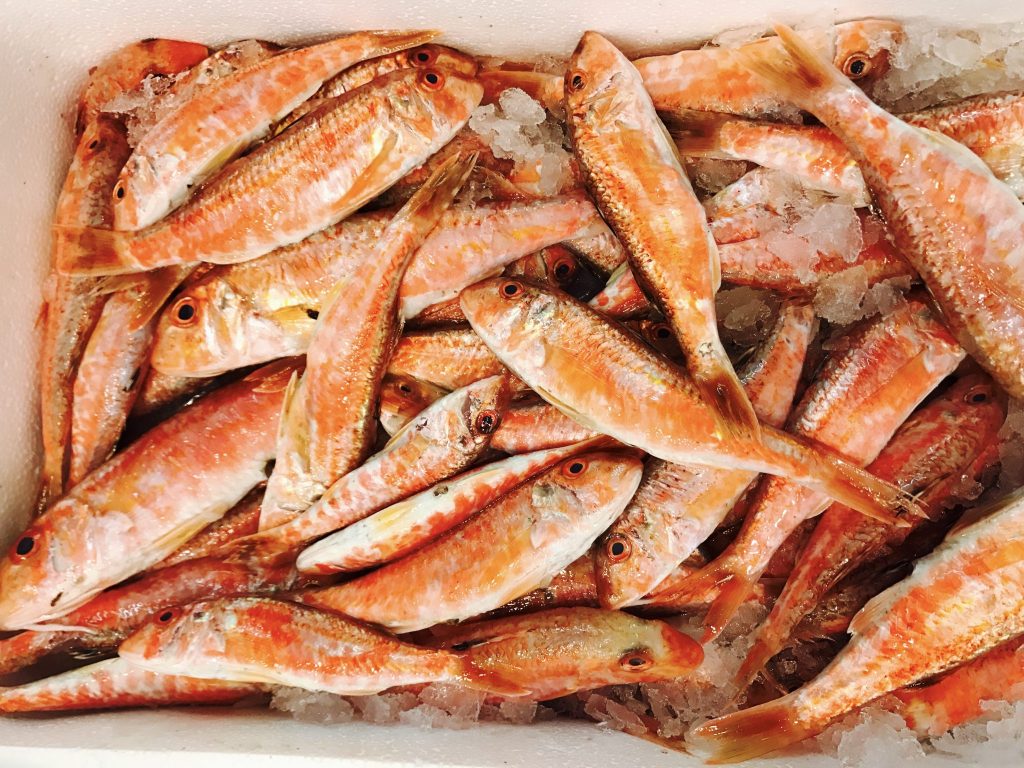 Fresh Red Mullet - Ocean Wave Fisheries